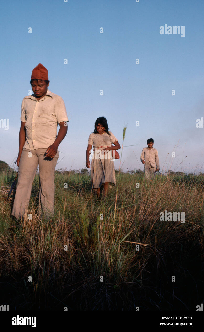 Llanos orientales colombia hi-res stock photography and images - Alamy