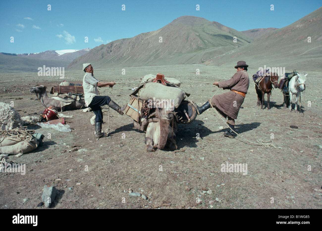 Loading pack came hi-res stock photography and images - Alamy