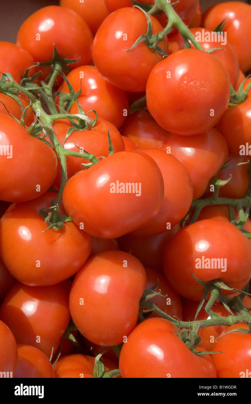 Tromatoes hi-res stock photography and images - Alamy