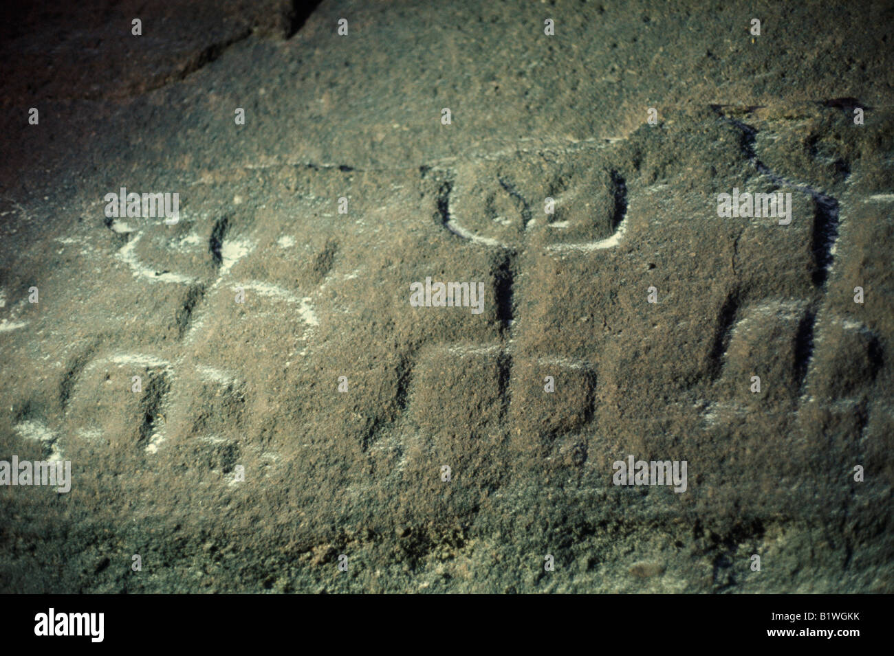 COLOMBIA North West Amazon Tukano Indigenous People Stock Photo - Alamy