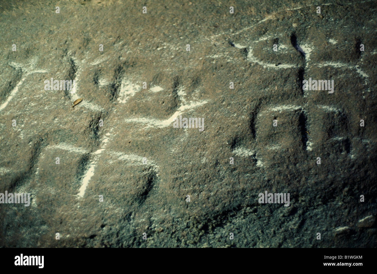 COLOMBIA North West Amazon Tukano Indigenous People Stock Photo - Alamy