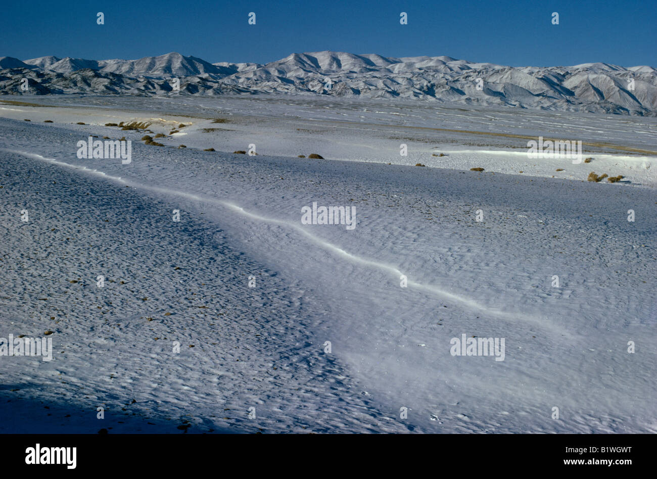 Gobi desert winter hi-res stock photography and images - Alamy