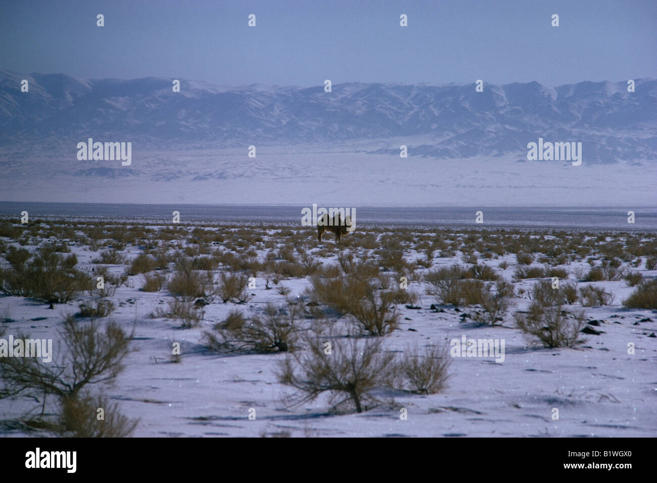 MONGOLIA Mongolian Steppes Stock Photo - Alamy