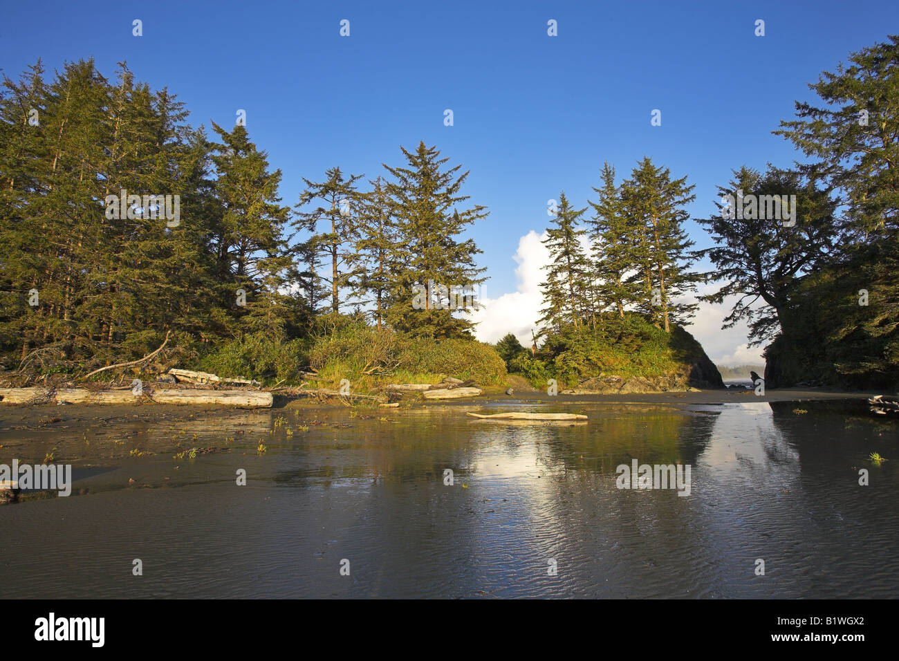 A huge Pacific beach with the small picturesque islands filled in by a ...