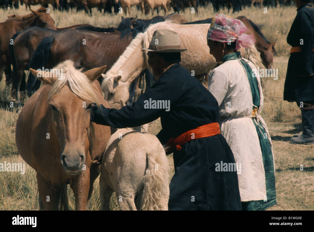 Region asia animals domestic animals mammals work people group ...