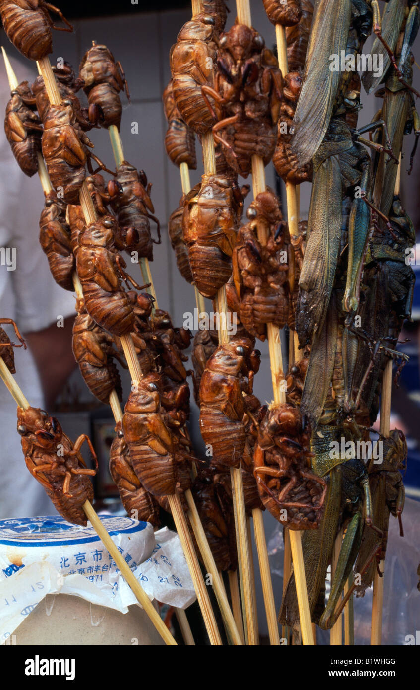 Insects food skewers hi-res stock photography and images - Alamy