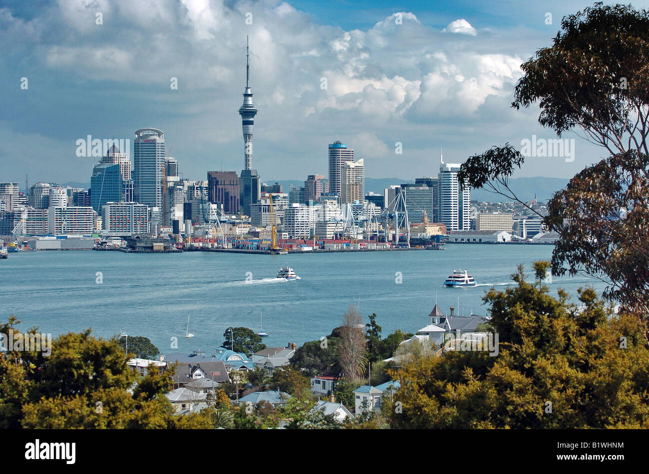 NEW ZEALAND NORTH ISLAND AUCKLAND Stock Photo - Alamy