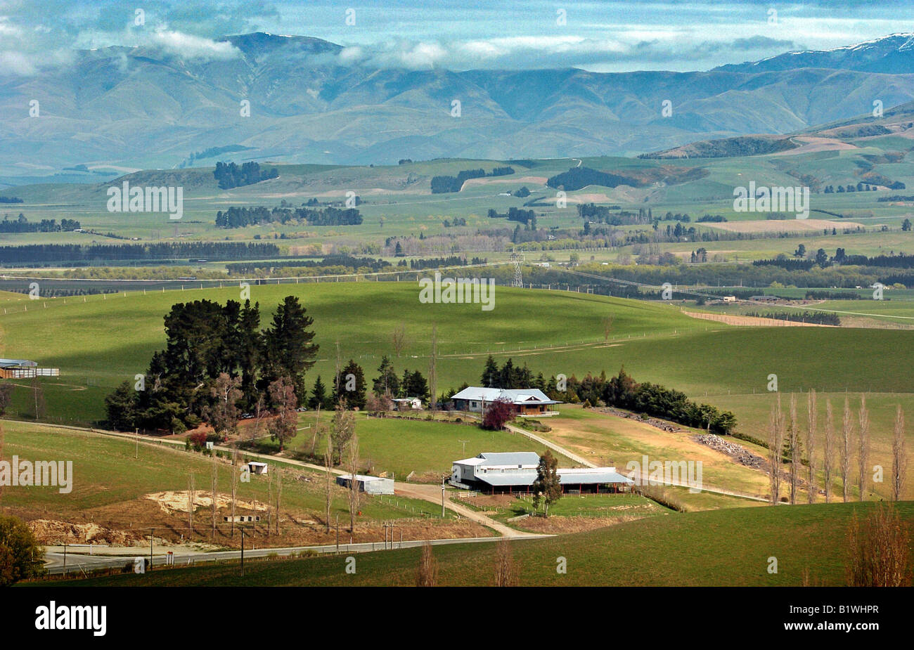 NEW ZEALAND SOUTH ISLAND FAIRLIE Stock Photo - Alamy