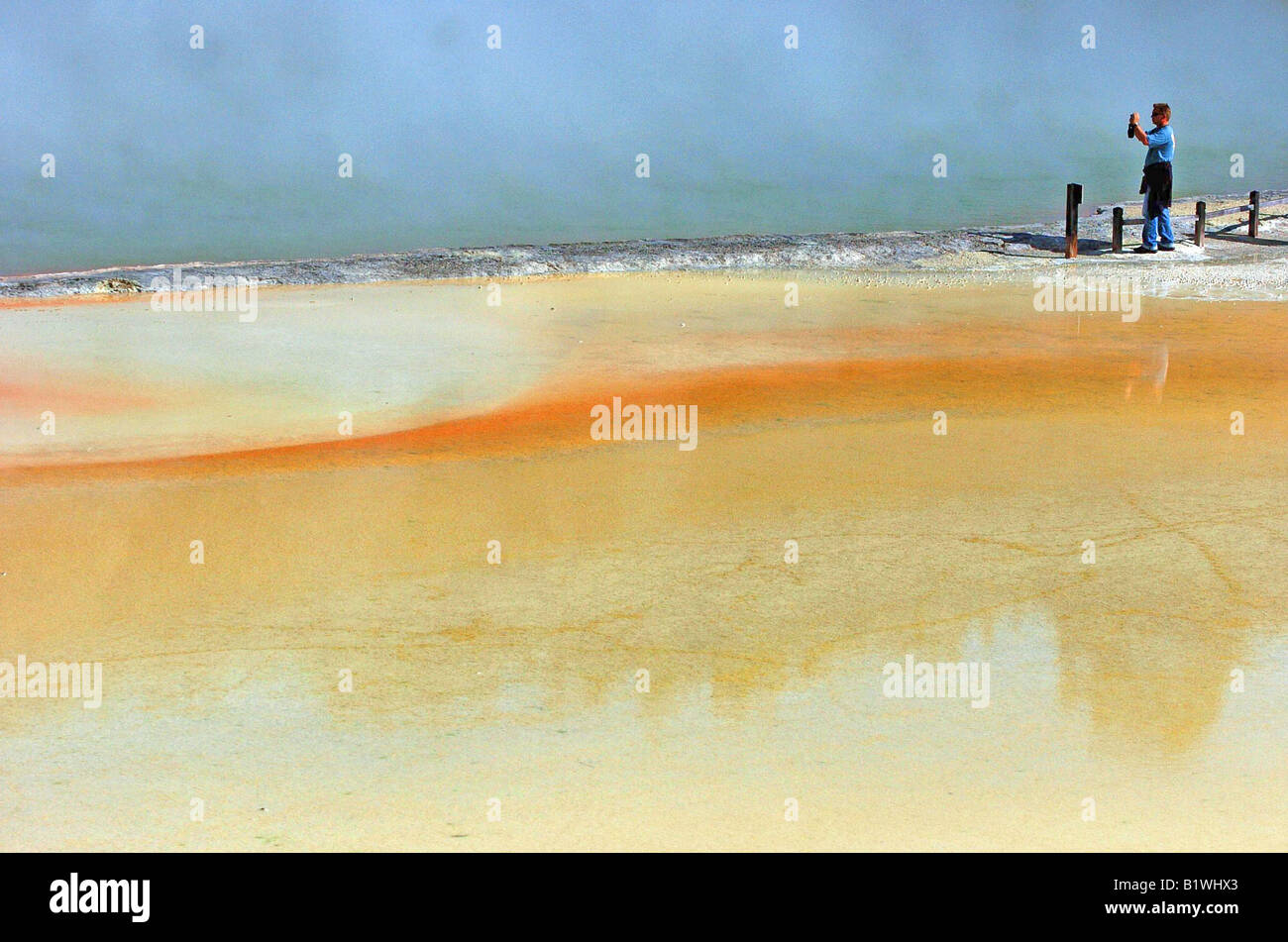 NEW ZEALAND NORTH ISLAND ROTORUA Stock Photo - Alamy