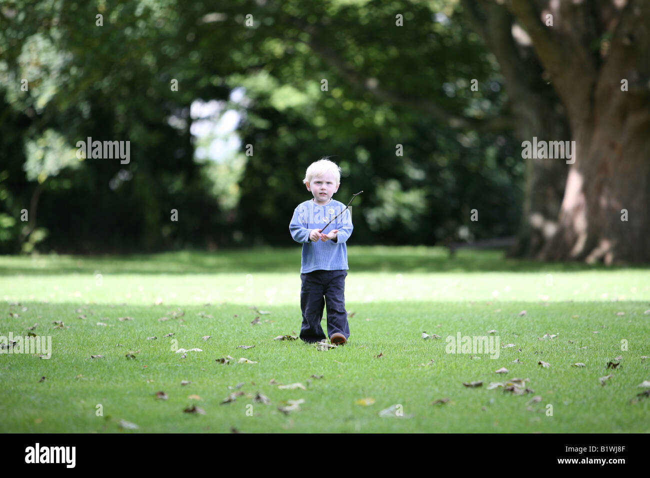 Holding pointer stick hi-res stock photography and images - Alamy