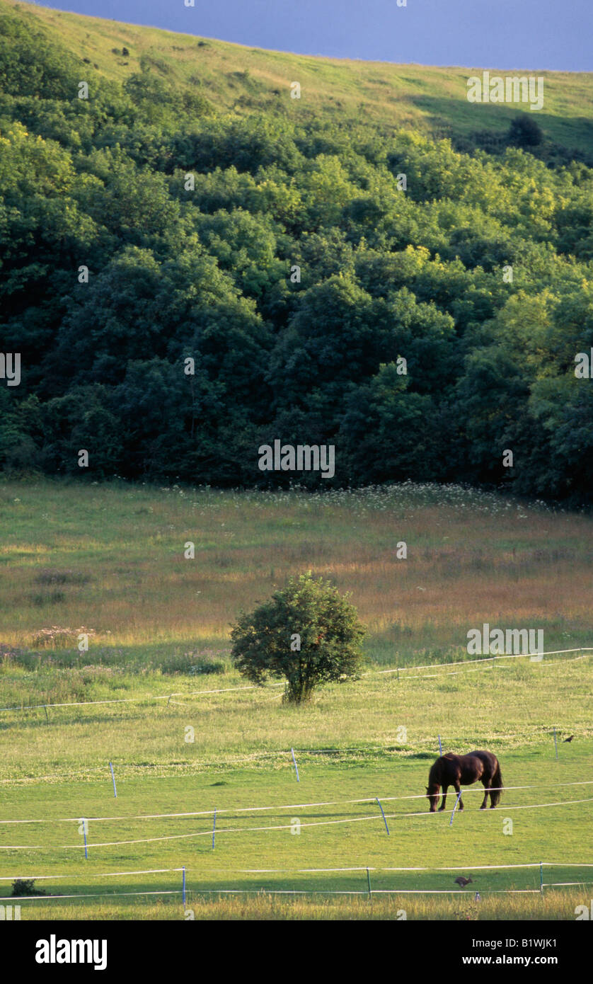 Westmeston hi-res stock photography and images - Alamy