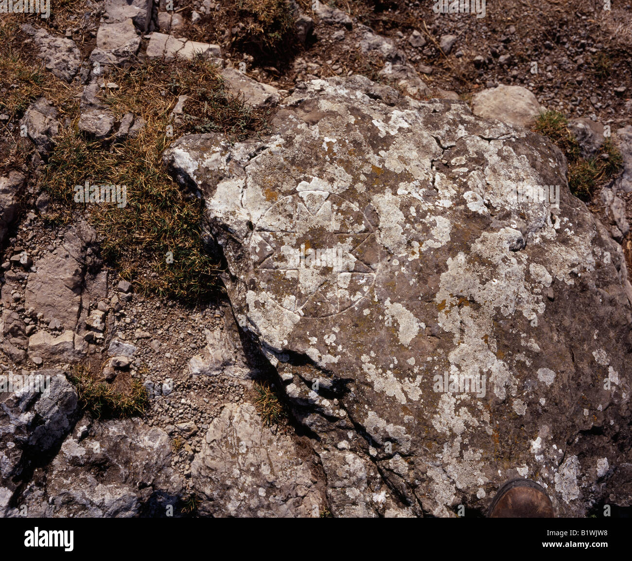 Cathar cross hi-res stock photography and images - Alamy