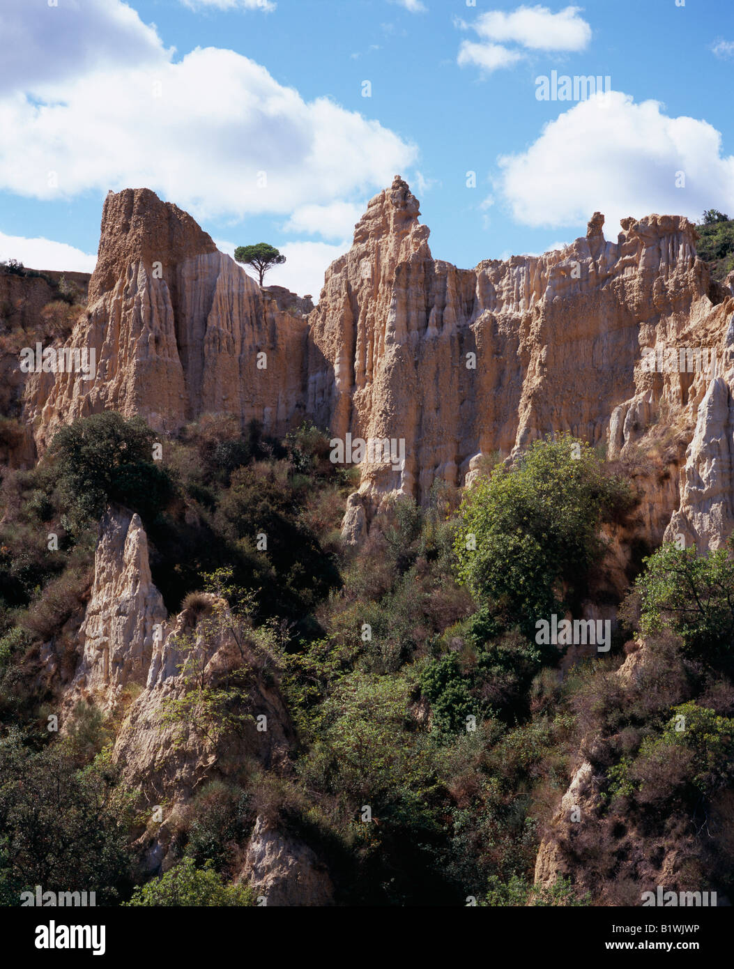 FRANCE Languedoc-Roussillon Pyrenees-Orientales Stock Photo - Alamy