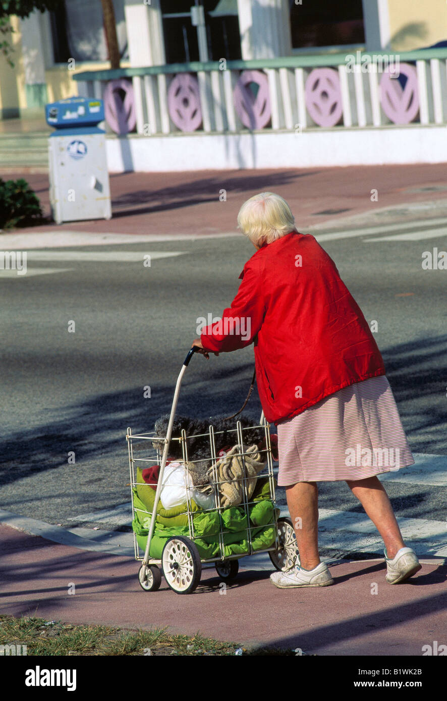 Miami beach florida street crossing hi-res stock photography and images ...