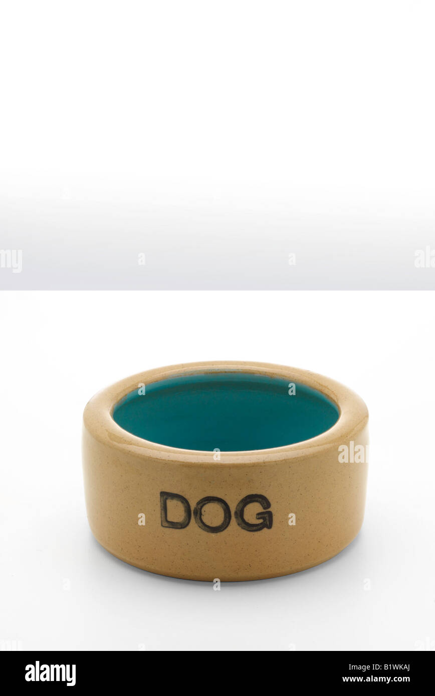 Bowl with word dog on it Stock Photo - Alamy