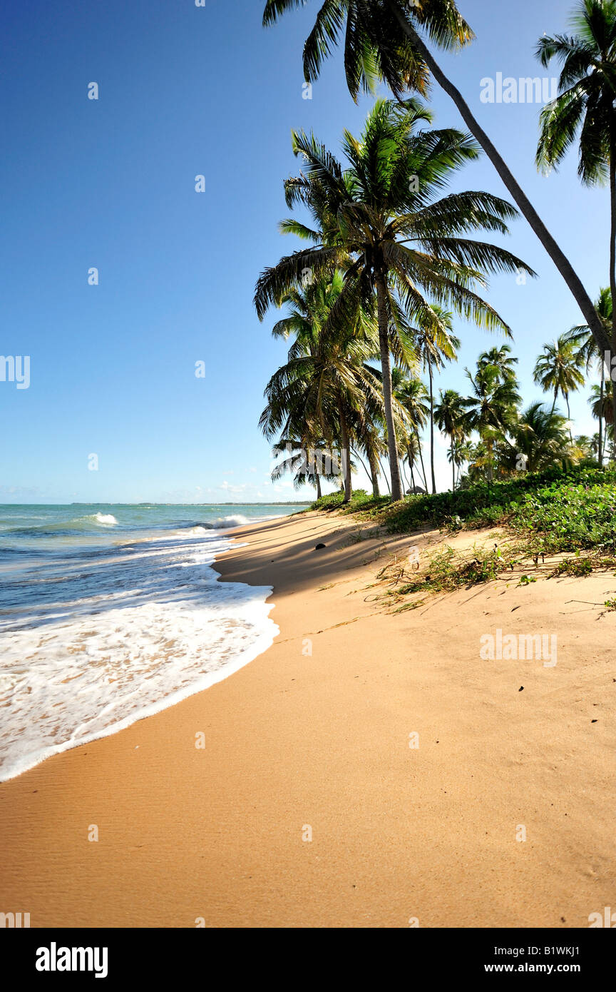 Praia de Forte, Salvador de Bahia, Brazil Stock Photo - Alamy