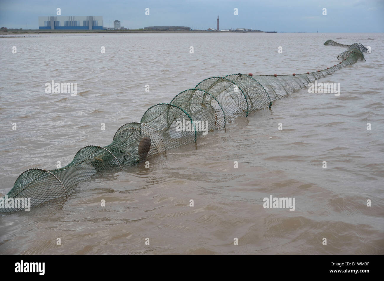 FYKE NETTING FOR SOLES. NET SHOWING ABOVE WATER AND SOLES CAN BE SEEN ...