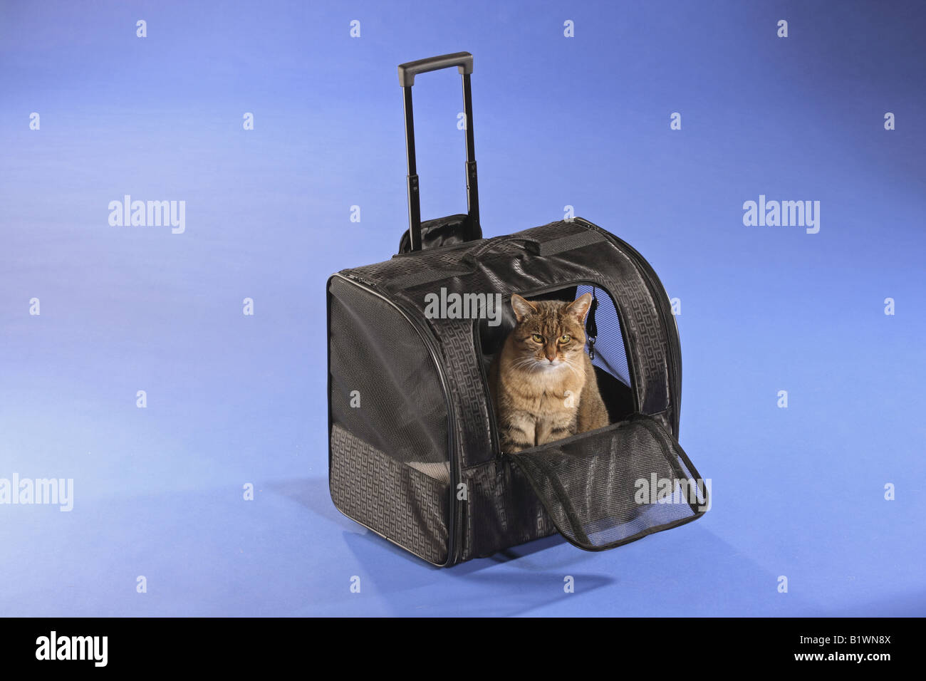 Transportbox hi-res stock photography and images - Alamy