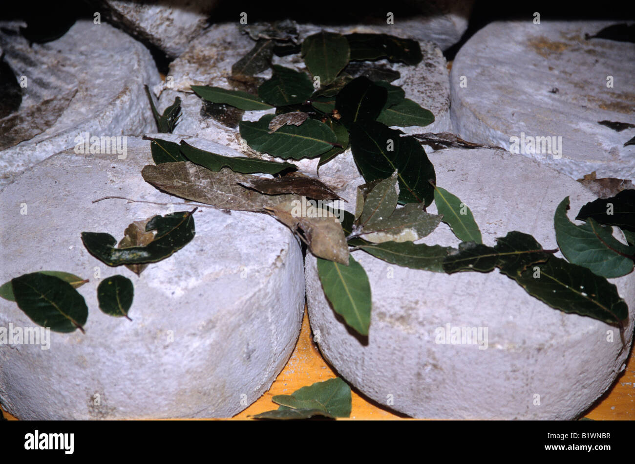 Pienza Cheese High Resolution Stock Photography and Images - Alamy