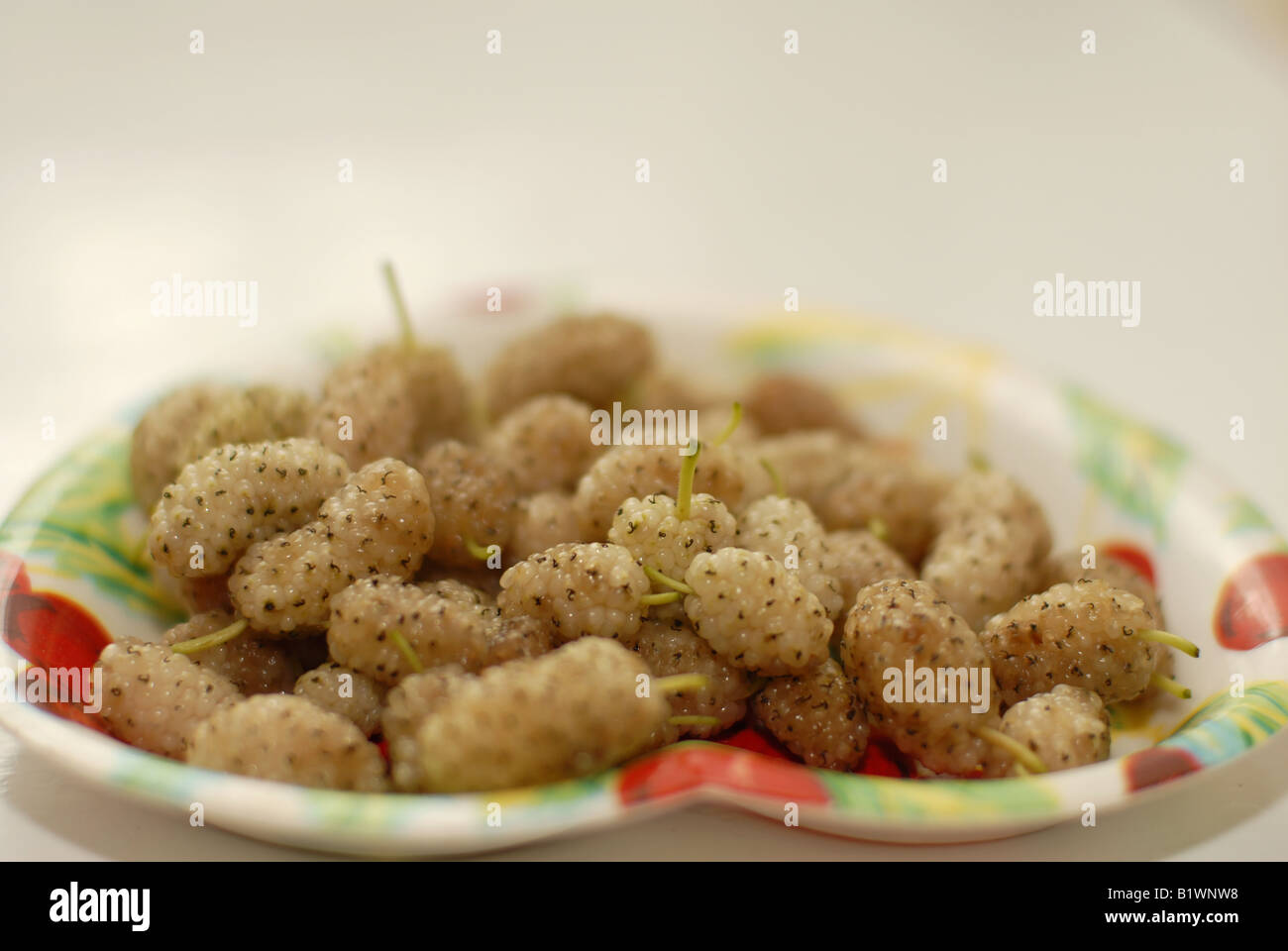 White Mulberry High Resolution Stock Photography and Images - Alamy