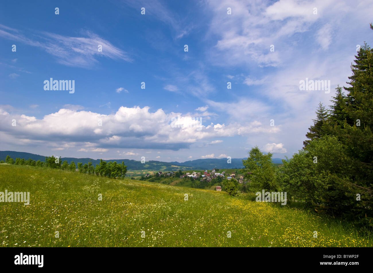 Rural landscape near Haluszowa village Pieniny Podhale region Poland ...