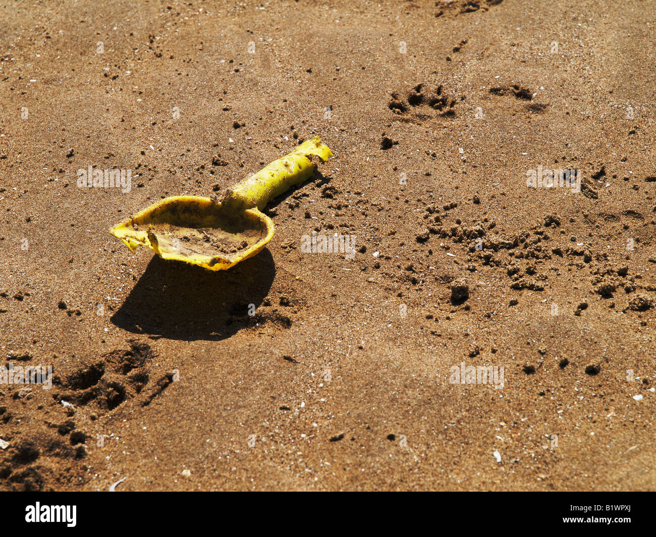 A dog chewed spade on the Beach at St Annes Lancashire Stock Photo - Alamy