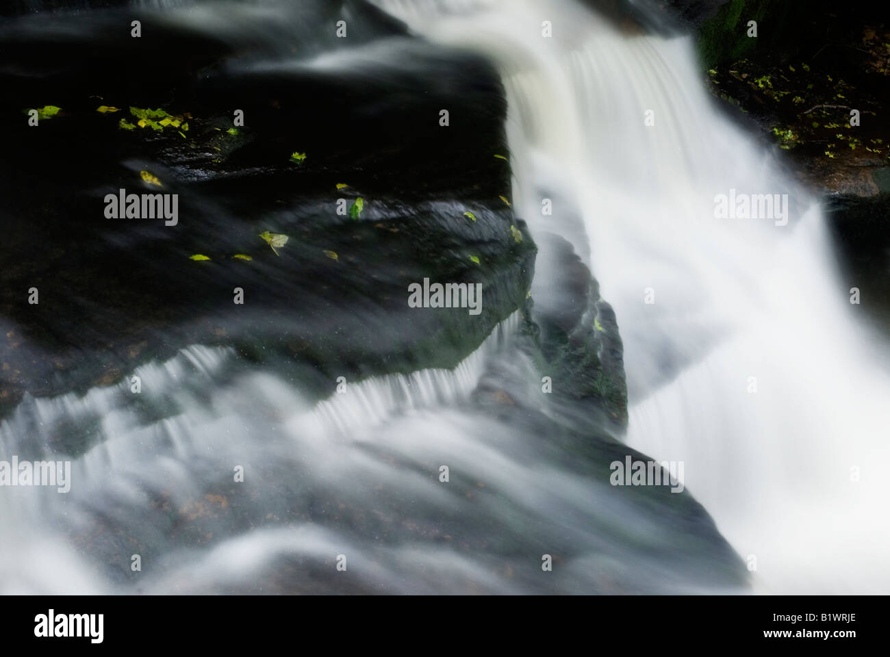 Harden bradford hi-res stock photography and images - Alamy