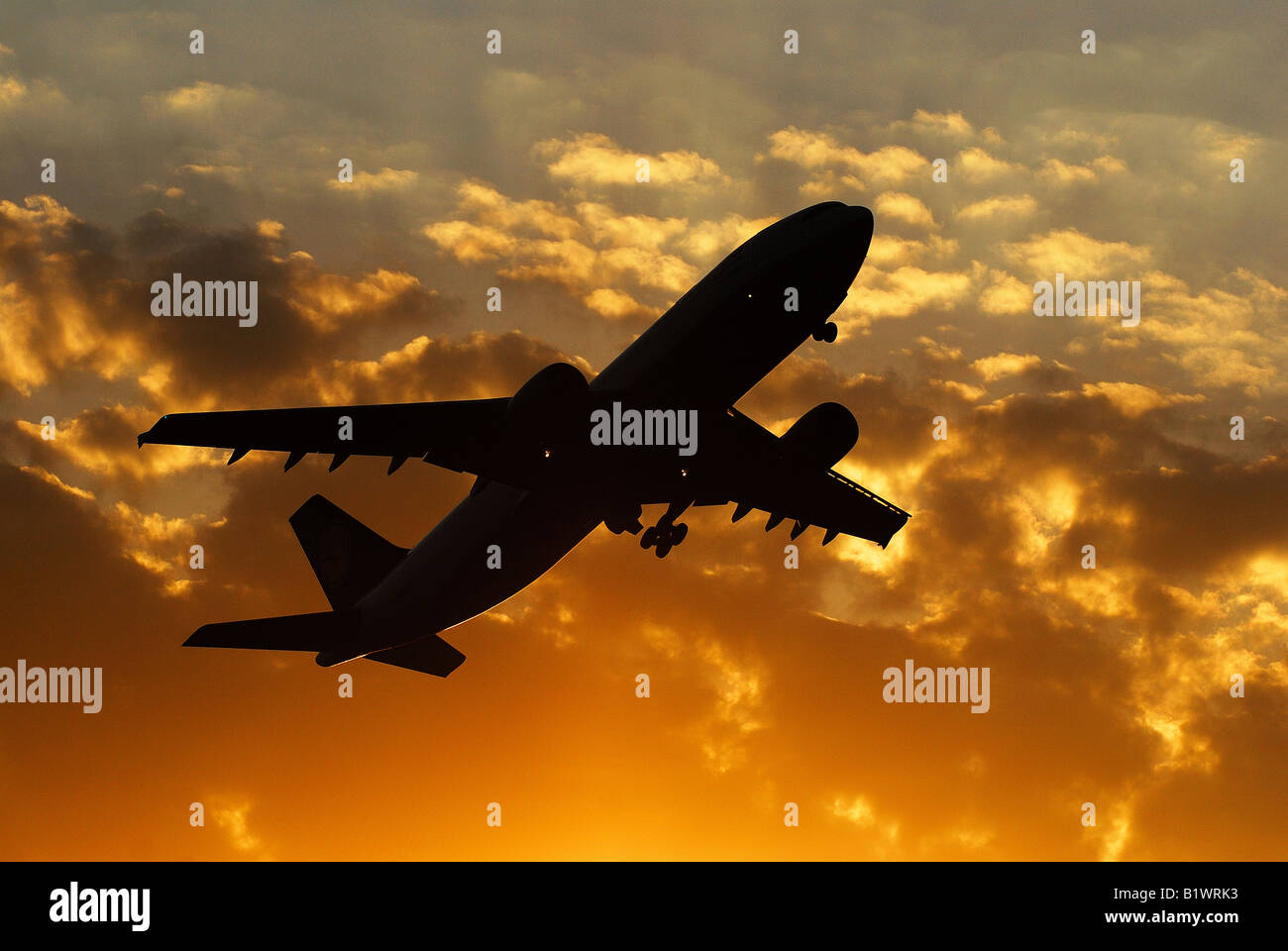 airplane flying, fly, transport, travel,trip, air,airplane, adventure ...