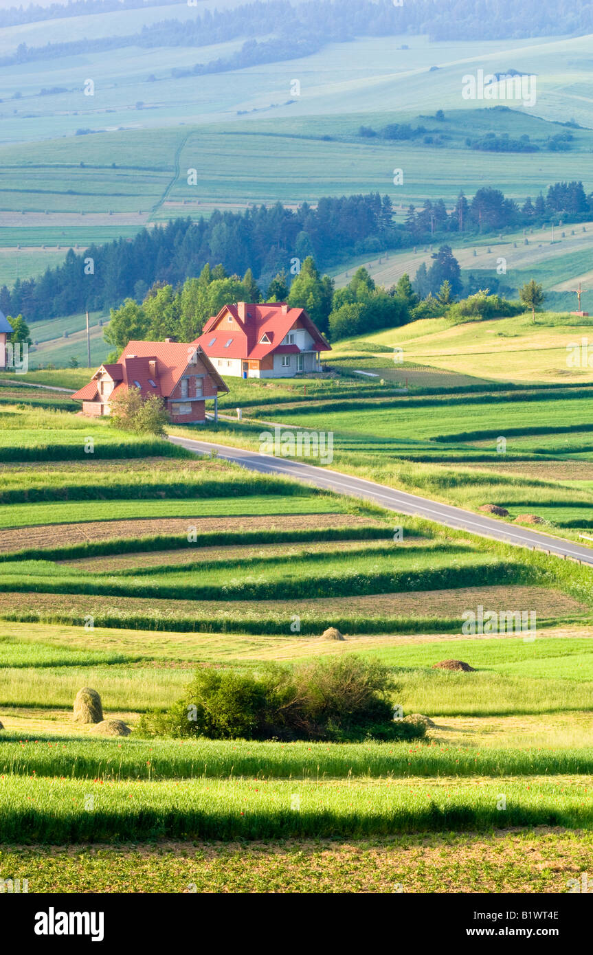 Rural landscape Pieniny Podhale region Poland Stock Photo - Alamy