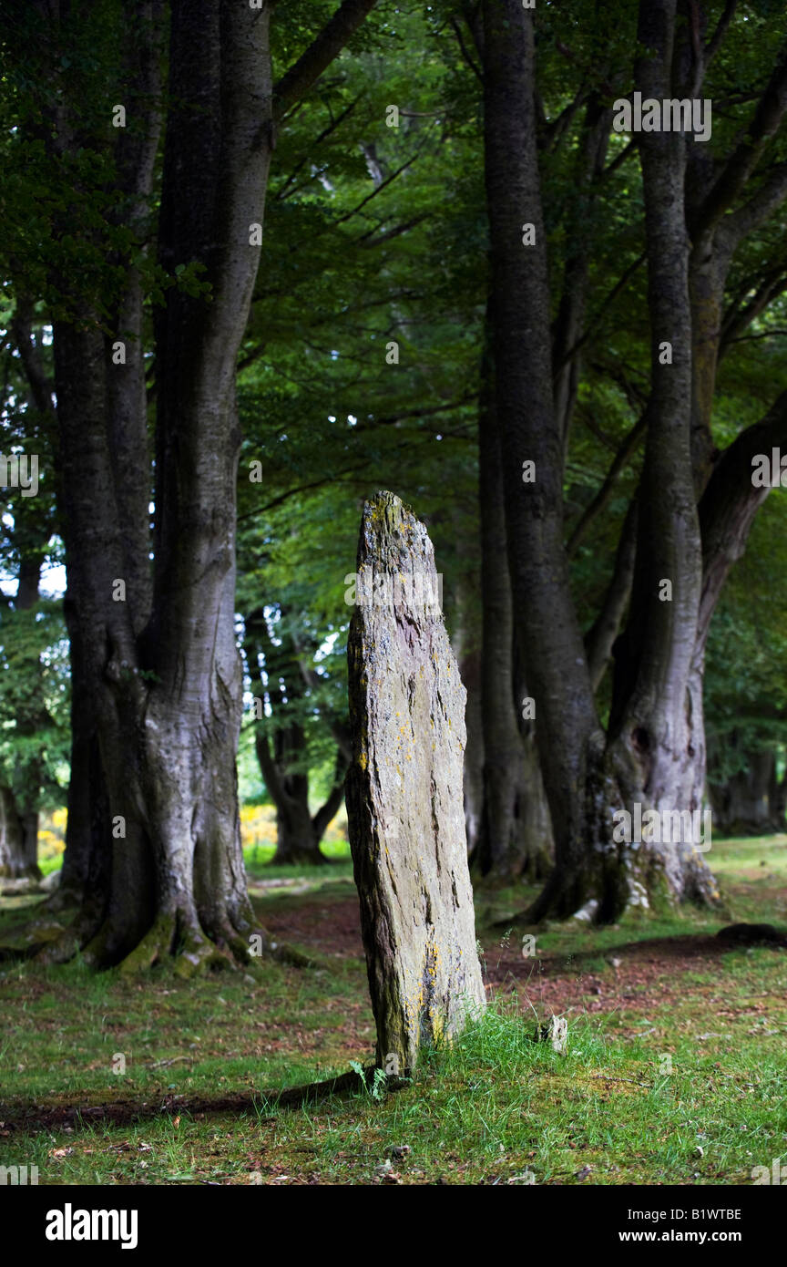 Standing Stones around Clava Cairns burial chambers, Nairnshire ...