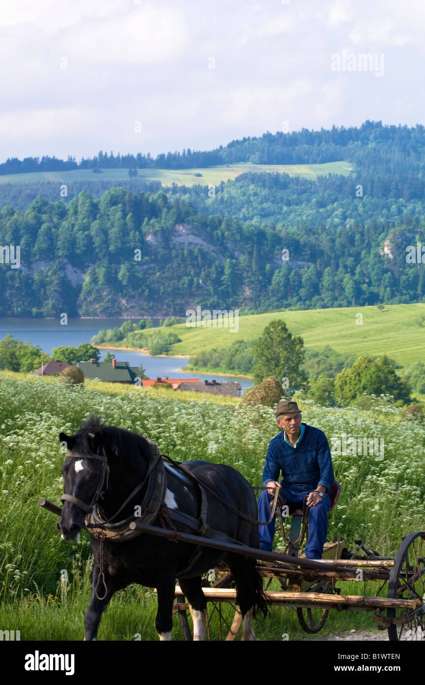 Farmer on the way to farm his land near Czorsztyn Podhale region Poland ...