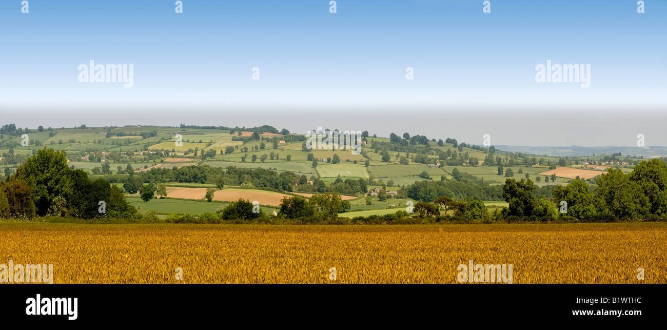 a field of crops Stock Photo - Alamy