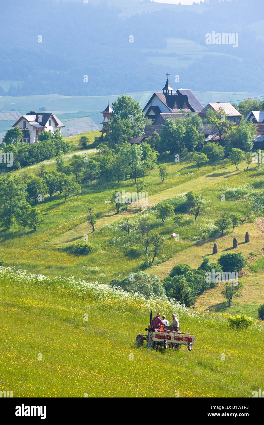 Rural landscape near Haluszowa village Pieniny Mountains Podhale region ...