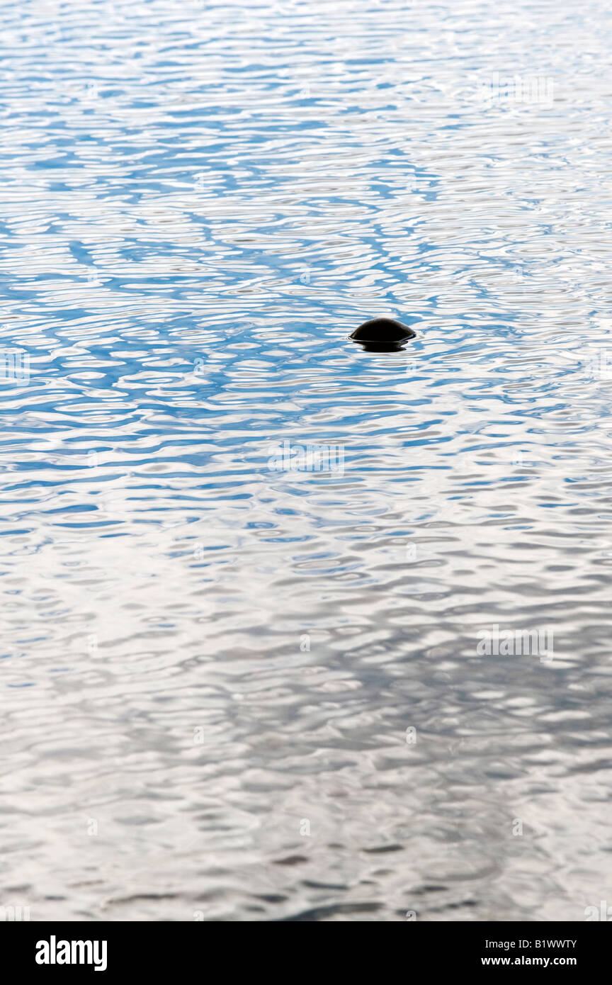 Pebble water ripples hi-res stock photography and images - Alamy