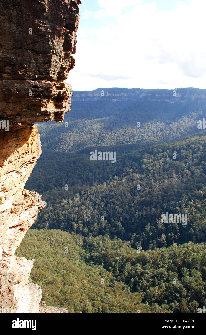 VIEW OF VALLEY FROM VANTAGE POINT IN BLUE MOUNTAINS Stock Photo - Alamy
