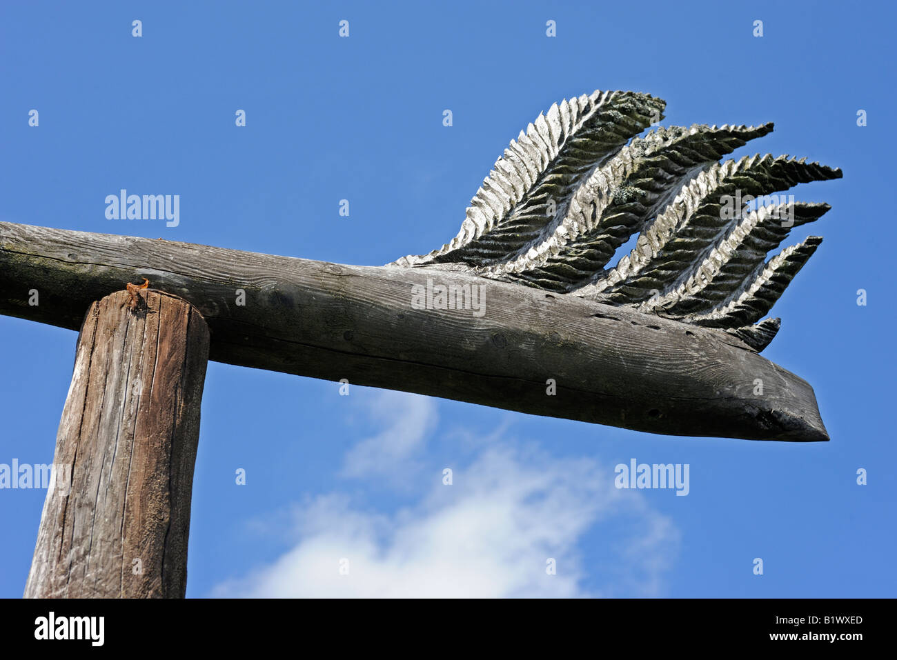 Jony High Resolution Stock Photography and Images - Alamy