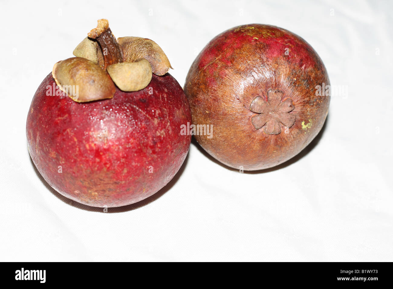 Mangosteen queen of fruit hi-res stock photography and images - Alamy