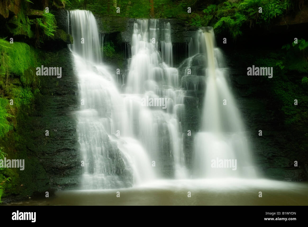 Harden bradford hi-res stock photography and images - Alamy