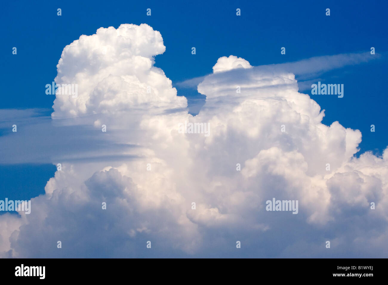 Convection cumulus growing Stock Photo - Alamy