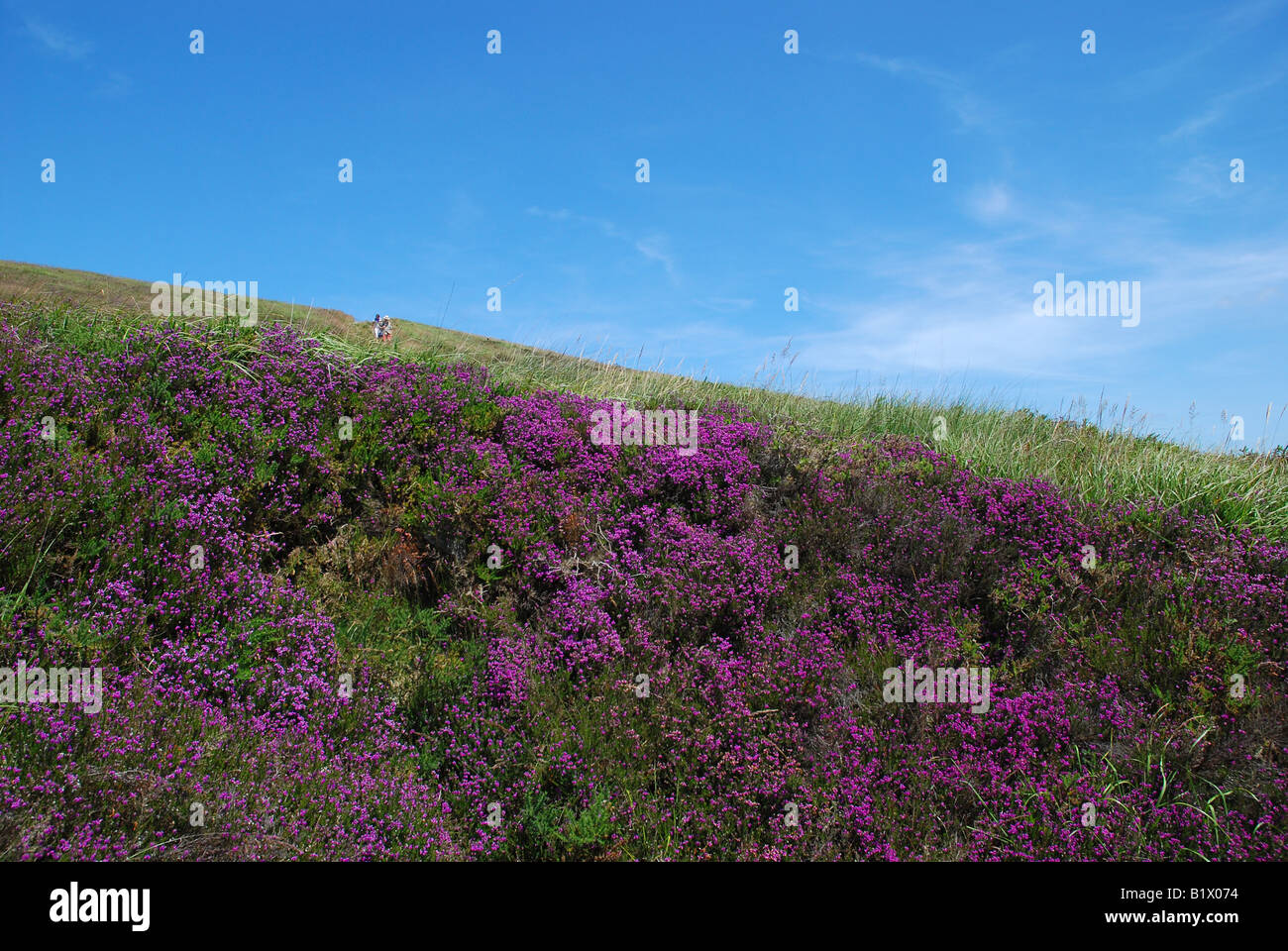 Monts darree hi-res stock photography and images - Alamy