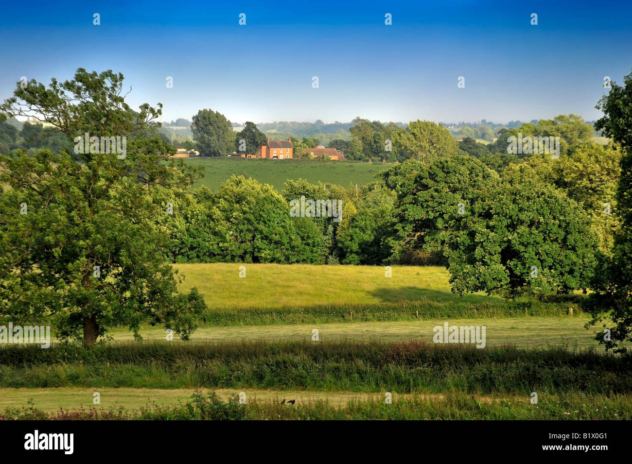 farmland before harvesting Stock Photo - Alamy