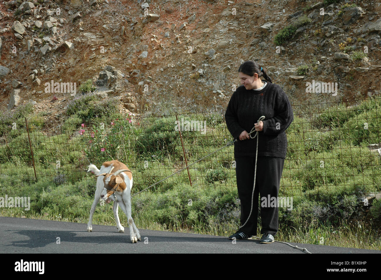 Lady in black walking a Goat on rope Stock Photo - Alamy
