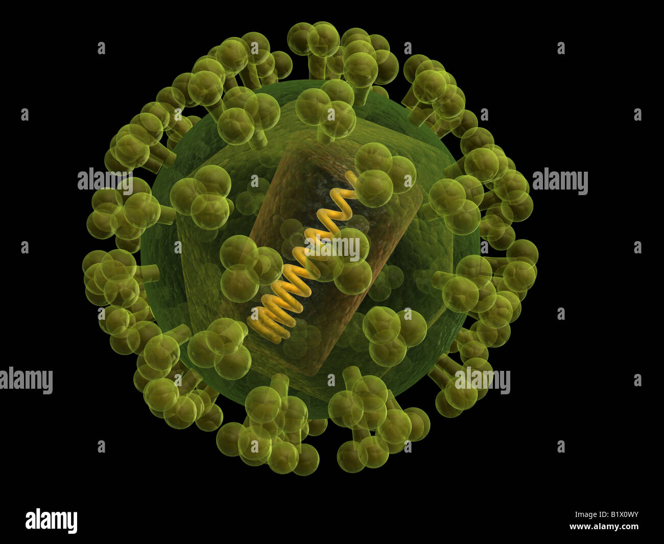 Virus surface hi-res stock photography and images - Alamy
