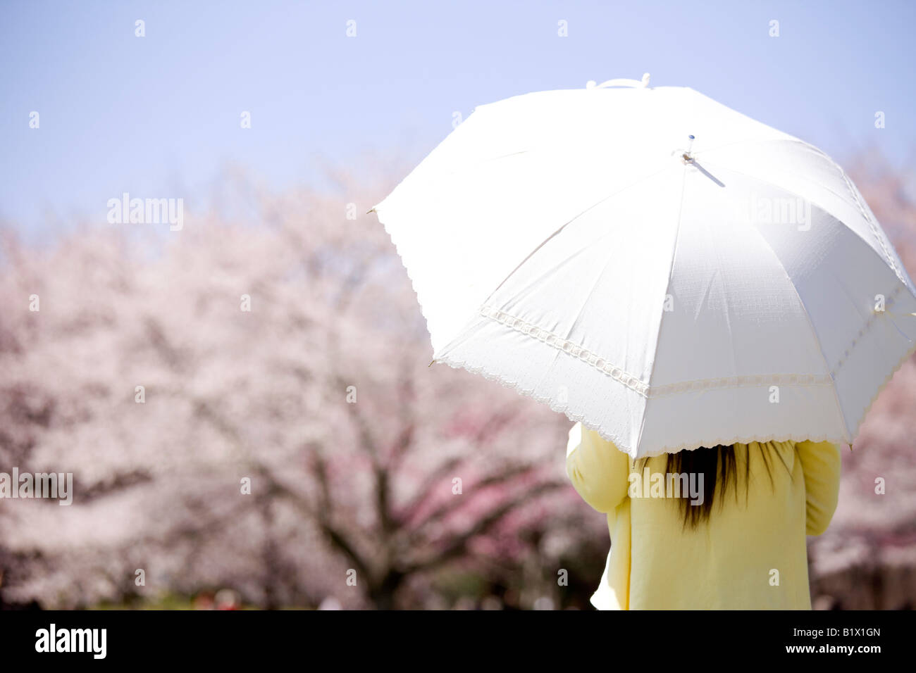 Back figure of Japanese young woman Stock Photo - Alamy