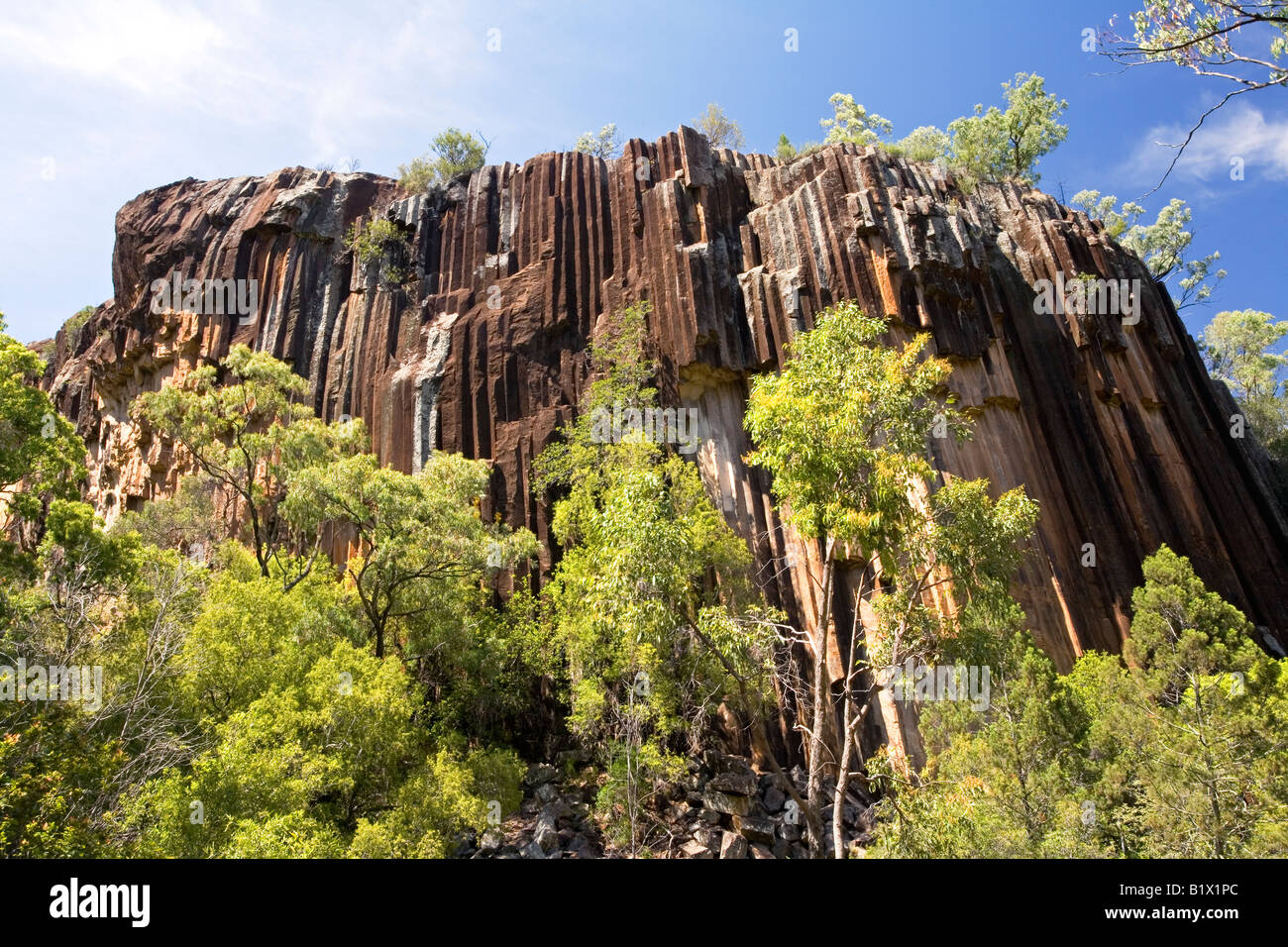 Sawn Rocks is a 40 metre basalt cliff face with perpendicular ...