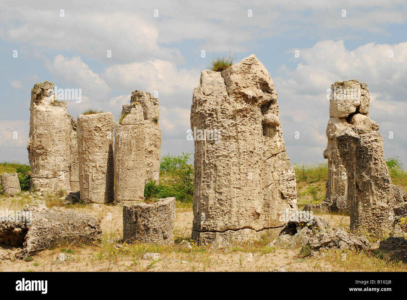 POBITI KAMANI (The Stone Forest Stock Photo - Alamy