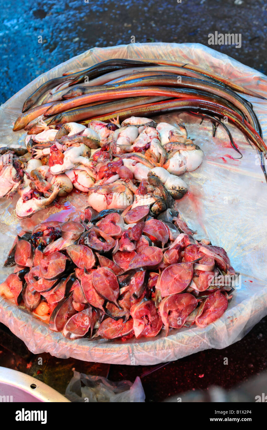 fresh fish , frogs and eels, rayong beach market, rayong , thailand ...