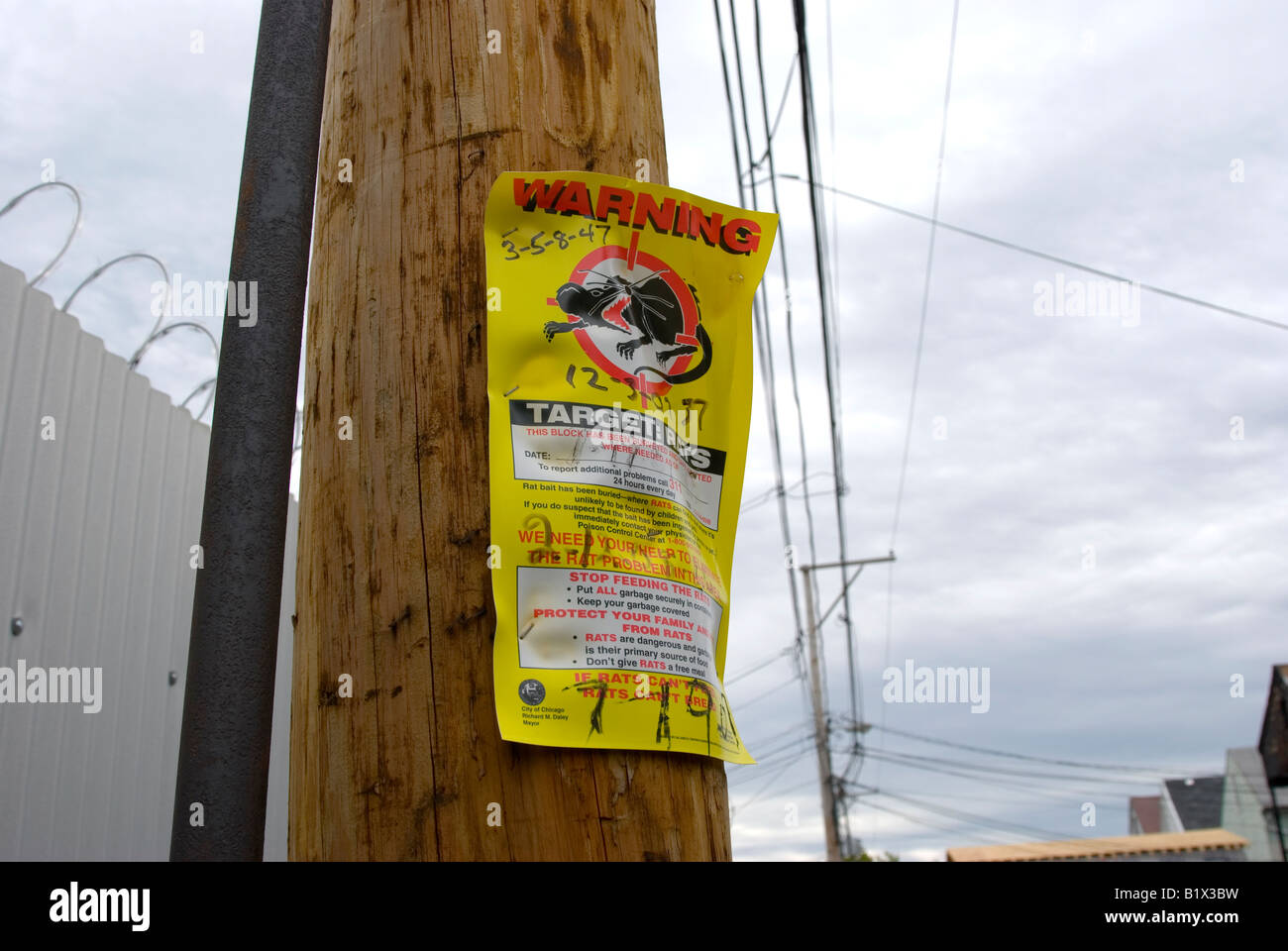 Rats alley chicago vermin poison hi-res stock photography and images ...