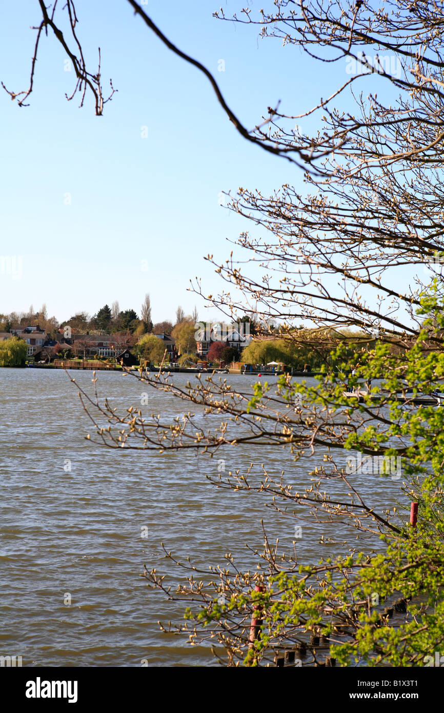 view across Oulton Broad from the south bank Stock Photo - Alamy