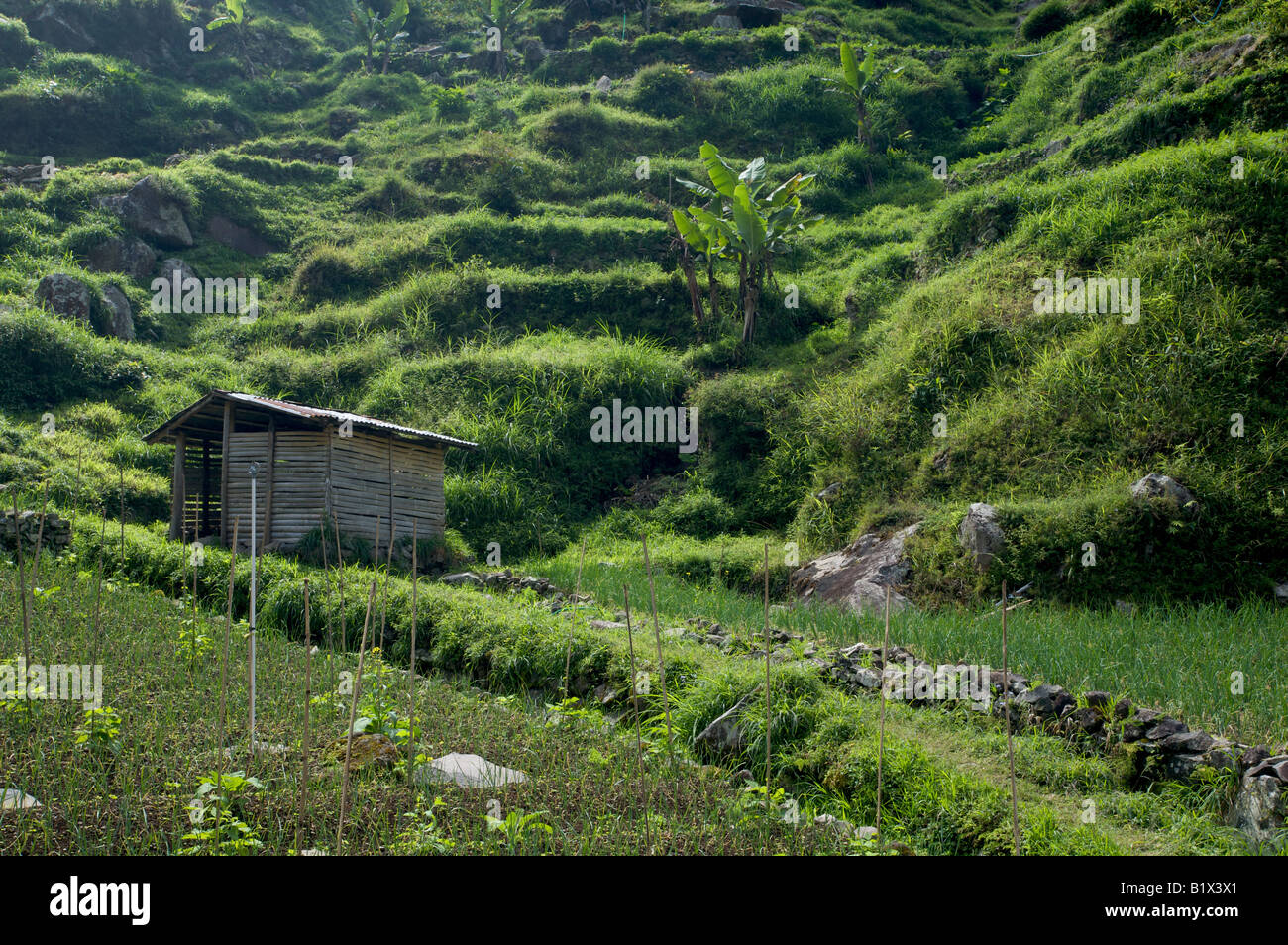 Terrace farms hi-res stock photography and images - Alamy